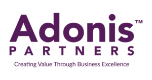 Operational Excellence Consulting & Business Transformation | Adonis ...